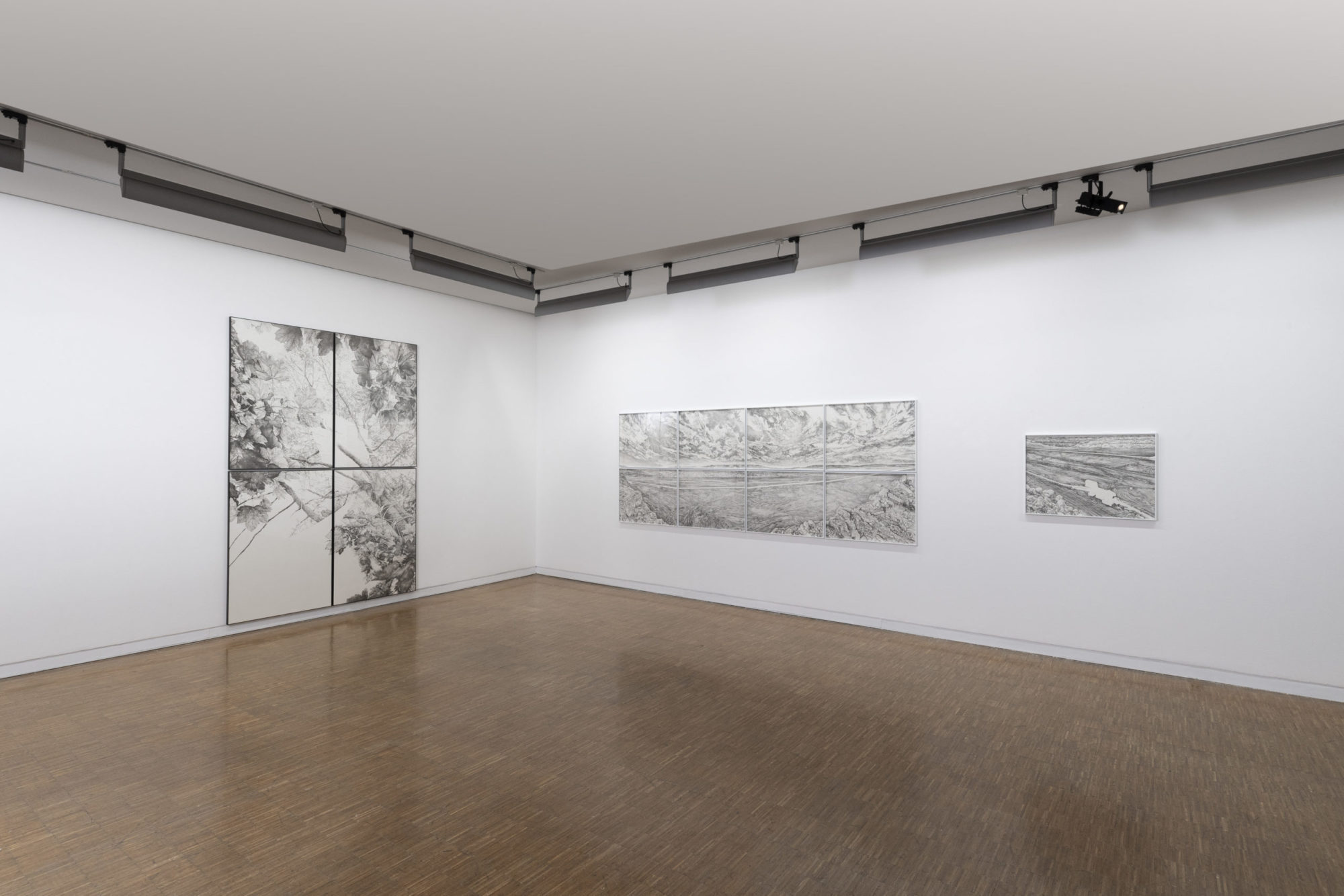 Urwald von morgen – Emmanuel Henninger